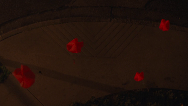 Little Fish (2021) Ending Explained – Morning, Roo